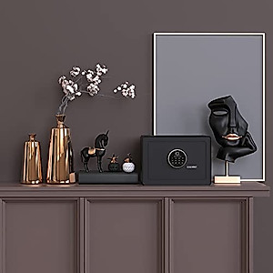 GOLDENKEY Digital Security Safe and Lock Box,Small Safe box for Money, Fingerprint Lock,Perfect for Home Office Hotel Business Jewelry Gun Use Storage,0.5 Cubic Feet,Black