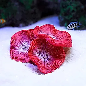Danmu 1Pc of Polyresin Coral Ornaments, Aquarium Coral Decor for Fish Tank Aquarium Decoration Mini Size 2 1/3" x 1 1/2" x 7/10"