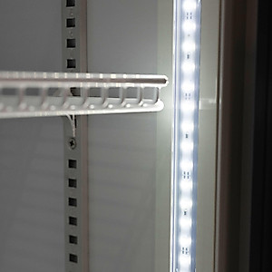 Procool Refrigeration Glass Door Flower Display Cooler with "Fresh Flowers" Design, Floral Refrigerator; 12.7 Cubic Ft.