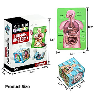 MIIRR Human Anatomy Study Cube Showing The 9 Parts of The Human Body with Pictures and Descriptions of Human Organs, Best Gift for Nurses, Medical Students