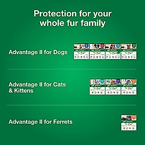 Advantage II Ferret Vet-Recommended Flea Treatment & Prevention | Ferret 1+ lbs. | 2-Month Supply