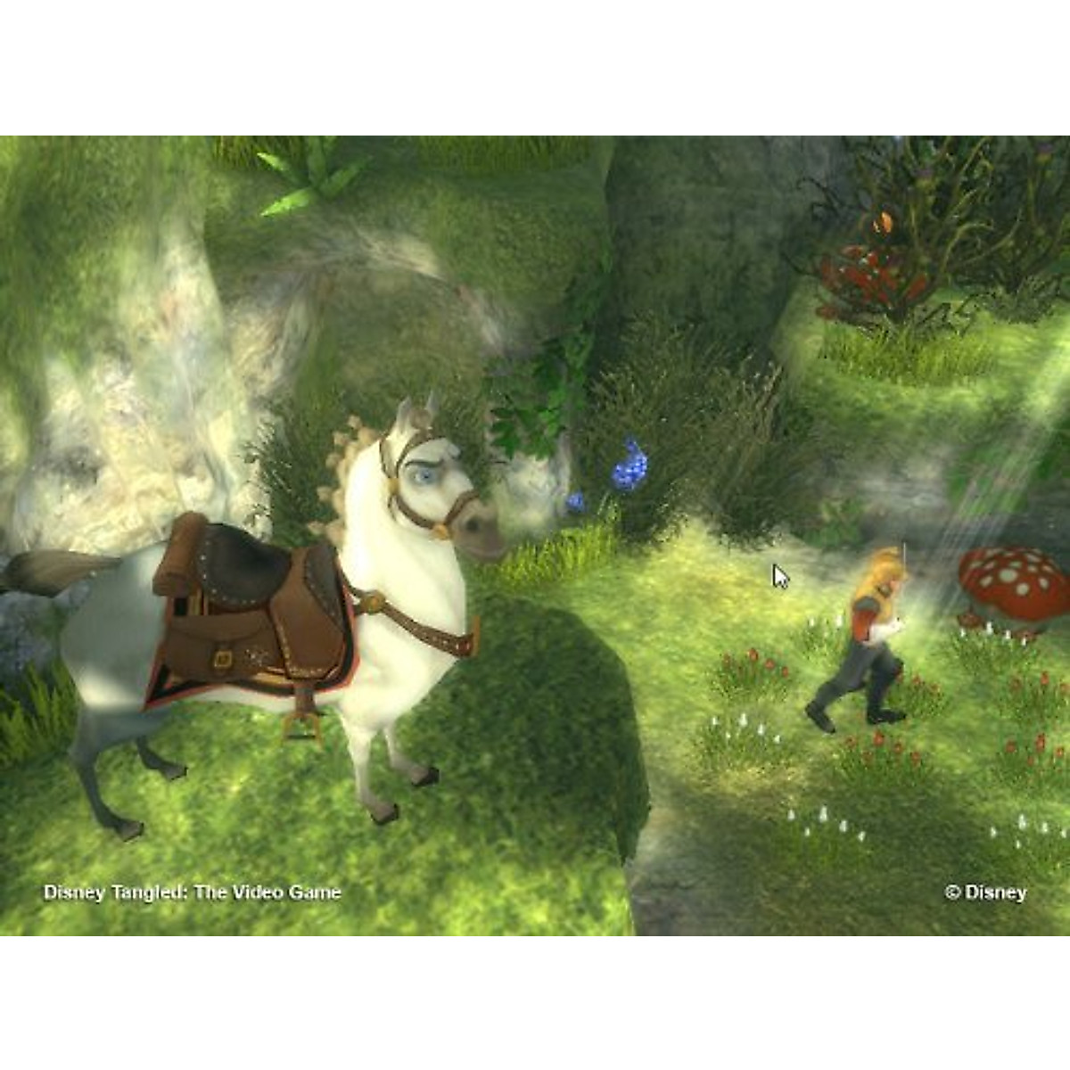 Disney Tangled - Nintendo Wii