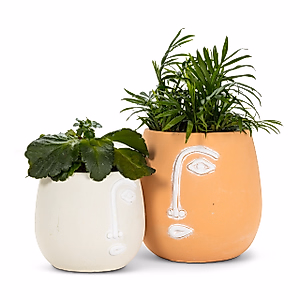 Abbott Collection 27-Picasso-LG Large Half Face Planter, 8" D, Orange