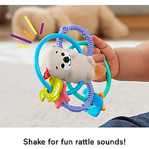 Fisher Price Baby Toys Twist & Teethe Otter 2-In-1 Rattle and Bpa-Free Teether with Textured Rings for Infant Fine Motor Play