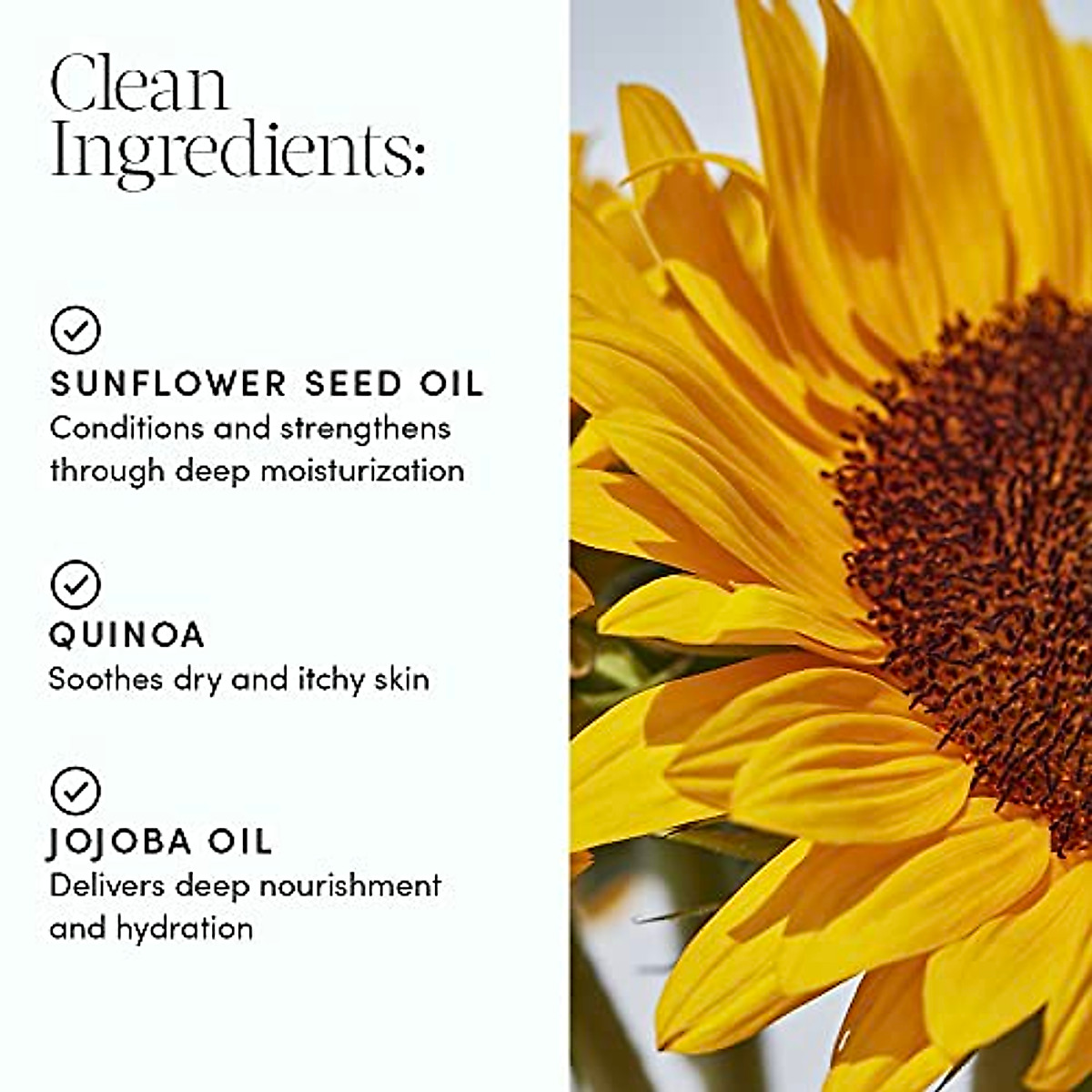 Evereden Nourishing Baby Face Cream 1.7 oz | Fragrance-Free & Non-Toxic | Plant-Derived Ingredients