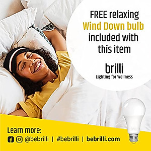 Catalina 23108-001 Farmhouse Metal Cage Base Table Lamp with White Linen Shade, 23", Black