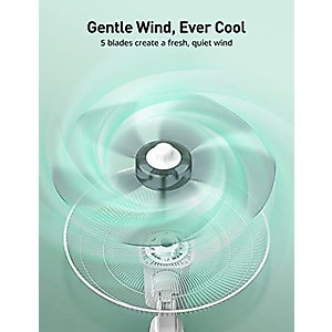 PARIS RHÔNE Wall Mount Fan, 16 inch Wall Fan with 5-Blades, 5 Speeds, 20ft Remote Control, Wide 90-Degree Oscillation, 8 Hour Timer, Quiet Operation, Fans for Bedroom, Kitchen, Study & Home Gym