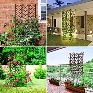 Garden Trellis for Climbing Plants, Deaunbr Plant Support Obelisk Trellis Garden Trellises for Vines, Flowers Stands, Raised Bed, Outdoor & Indoor Potted Plants, Tomato, Rose, Cucumber, Pea, Clematis