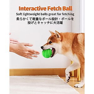 SCHITEC Squeaky Dog Toys, [4 Pack] Interactive Dog Balls with Squeaker for Medium Dogs, 2.8'' Soft Latex Rubber Bouncy Fetch Play Ball Toy