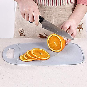 NEIDE Healthy Accessories Chopping Board Cutting Block Non Slip-Blue (Color : Blue)