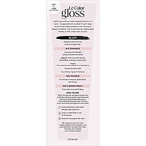L'Oreal Paris Le Color One Step Toning Hair Gloss, Black Noir, 4 Ounce