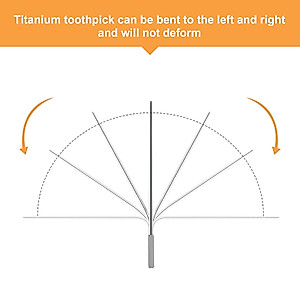 XINYUWIN Mini Pocket Toothpick Holder with 6PCS Reusable Titanium Toothpicks, Portable Outdoor Stainless Steel Toothpick Fruit Picks with Keychain for Camping Picnic