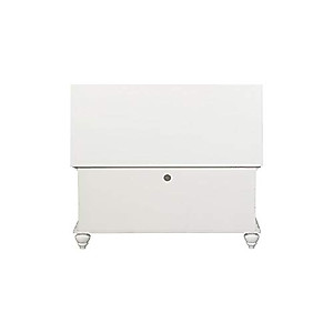 Cedar Storage Chest White Casual Transitional Rectangle Includes Hardware