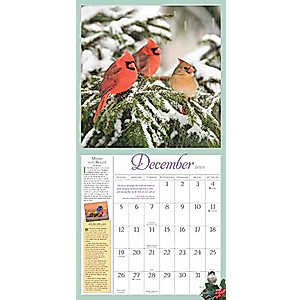Audubon Birds in the Garden Wall Calendar 2021