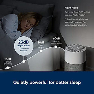 BLUEAIR Bedroom Air Purifier, Air Cleaner Dust Pet Dander Smoke Mold Pollen Allergen, Odor Removal, for Home Office Nursery Kitchen, Washable Pre Filter, HEPASilent, Medium Room, Blue 311 (Non-Auto)