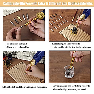 TIANREN Calligraphy Feather Dip pen set with 6 bottles of ink,Quill Pen,Wooden Dip Pen,Glass Dip Pen,Wax Seal Stamp Kits,Pen Holder,spoon,Letter opener, Christmas Gift for Men&Women(Purple)