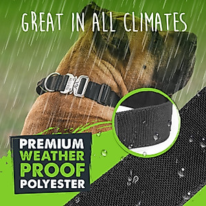 Mighty Paw Dog Collar - Heavy Duty with Tactical Metal Buckle - Heavy Duty Buckle - Weatherproof Polyester Tactical Dog Collar - Dog Training Collar for All Dog Breeds - Dog Collar with Handle - Black