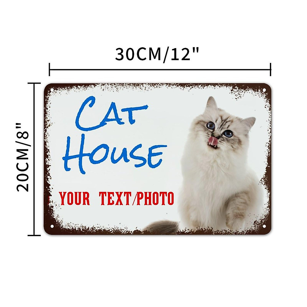 Custom Signs Outdoor Metal,Personalized Street Signs Personalized Plaque Address Signs for Houses With Name Customized Business Signs for Outside for Rent Sign No Weenies Allowed Sign (style 1)