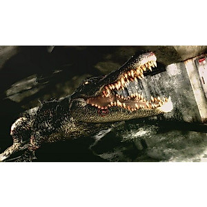 Resident Evil: The Darkside Chronicles