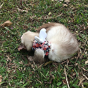 Ferret Harness and Leash Adjustable, Blue Sakura Cotton Cloth Ferret Walking Vest, Soft and Breathable Ferret Lead Leash with Angel Wings and Safe Bell