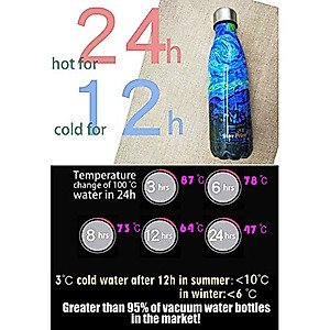 Star Print Bottle, Van Gogh The Starry Night, Double Wall Vacuum Insulated Stainless Steel Water Bottle, 17 oz