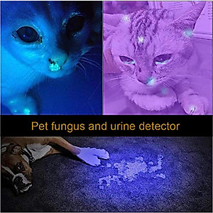 ALONEFIRE SV003 10W 365nm UV Flashlight Portable Rechargeable Blacklight for Pet Urine Detector, Resin Curing, Scorpion, Fishing, Minerals with Aluminum Case, Battery Charger