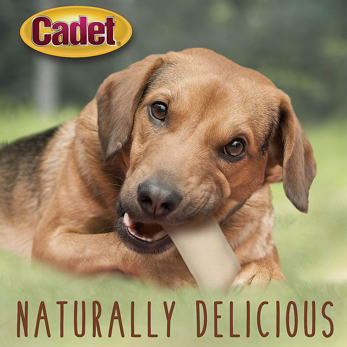 Cadet Premium Grade Beef Hide for Dogs, Long Lasting Rawhide Chips, Single Ingedient Dog Chews, Beef Hide Flavor (2 Pound)