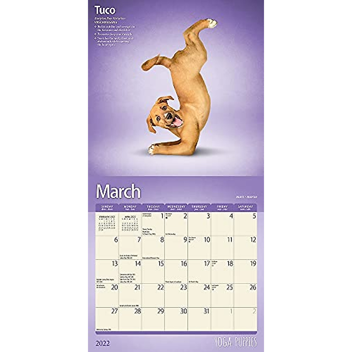 Yoga Puppies OFFICIAL 2022 7 x 7 Inch Monthly Mini Wall Calendar, Animals Humor Puppy Dogs Canine
