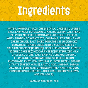 CHI-CHI'S Fiesta Mild Salsa Con Queso Dip, 15 Ounce (Pack of 12)