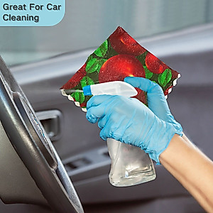 senya 6 Pack Dish Cloths Dish Towels Red Apple Reusable Kitchen Hand Towels