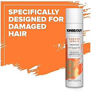 Toni & Guy Cleanse Shampoo for Damaged Hair, 8.5 oz