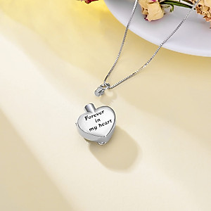 TOUPOP Hummingbird Urn Necklace for Ashes Sterling Silver with Blue Heart Crystal Cremation Jewelry w/Funnel Filler Memory Jewelry for Women