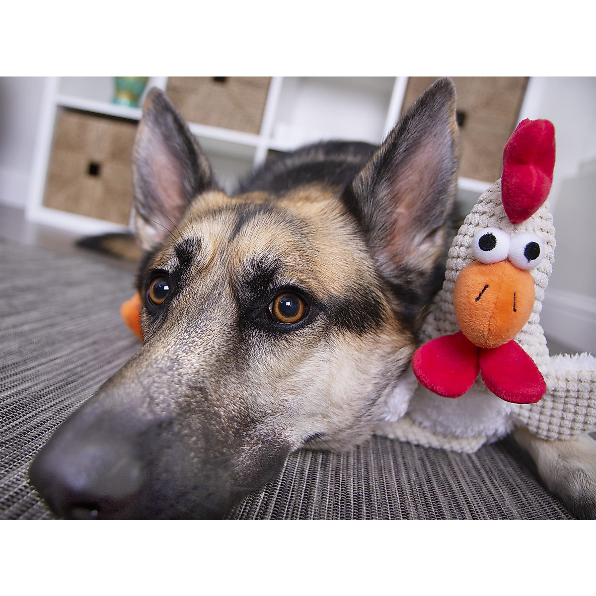 goDog Checkers Skinny Rooster Squeaky Plush Dog Toy, Chew Guard Technology - White, Large