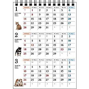 2023 柴犬カレンダー 卓上書き込み式 [B6タテ] 【S3】 (永岡書店のカレンダー)