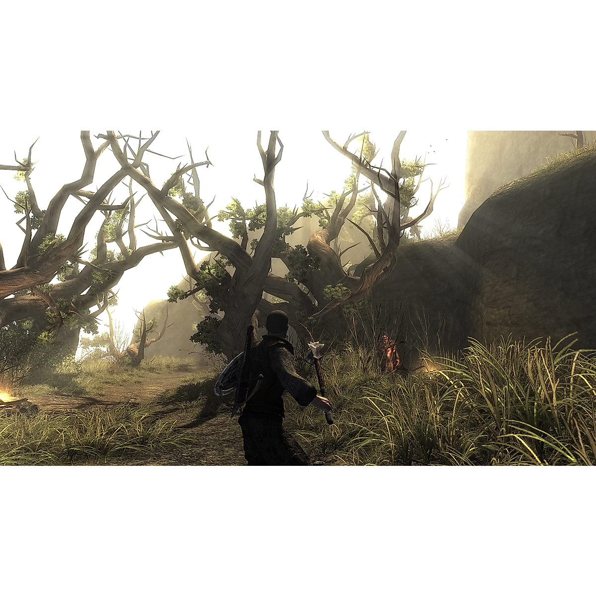 Risen - PlayStation 4