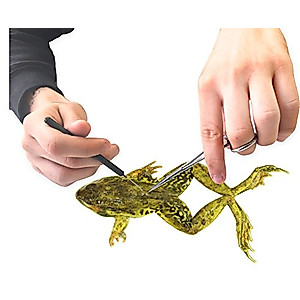 30 Pcs Advanced Biology Lab Anatomy Medical Student Dissecting Kit Set with Scalpel Knife Handle Blades Ideal for Student, Hobby, Taxidermy and More (DES-KIT-110)