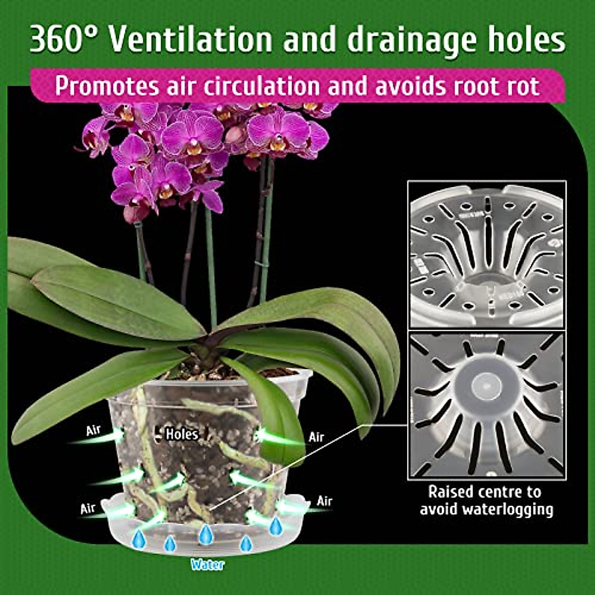 REMIAWY Orchid Pot, 8 Pack Orchid Pots with Holes and Saucers, 5.5 Inch Clear Orchid Pots for Repotting, Plastic Flower Plant Pot Indoor Outdoor, Breathable Slotted Orchids Planter