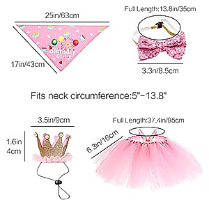 Mitili Dog Birthday Party Decorations - Pet Girl Pink Princess Style, Dog Birthday Triangle Bandana Crown Hat Tutu Scarf Collar Bow Happy Birthday for Pet Dog House Cat (4-Pack)