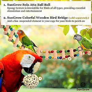 SunGrow Sola Atta Foraging Balls, 2”, White Soft Shred Parrot Chews, Bird Chewing Accessories for Conure, Budgie, Parakeet, Cockatiel, Rabbits, Hamsters, and Other Small Pets, 3 Pcs/Pack