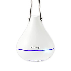 airberry NEW Smart Closet Automatic Management Device, Odor Eliminator, Electric air freshener for clothing, Remove odors, Wide scent, Cozy scent, for Closet, Dress room (Lavender, Device)