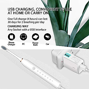 Electric Toothbrush, Rechargeable Sonic Toothbrush for Adult and Kids with 4 Dupont Brush Heads, 6 Modes, Smart Timer, 42,000 VPM Motor, Power Whitening Auto Toothbrush, IPX7 Waterproof, White