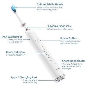 POTICO Sonic Electric Toothbrush for Adult with 8 Duponts Brush Heads, 5Modes, 2 Min Smart Timer, IPX7 Waterproof, Rechargeable Toothbrushes, Charge Lasts for 90 Days use