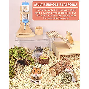 Bissap Hamster Platform, Plastic Play Platform Hamster Stand Platform for Dwarf Syrian Hamsters Gerbils Mice Degus or Other Small Pets Cage Accessories - Transparent