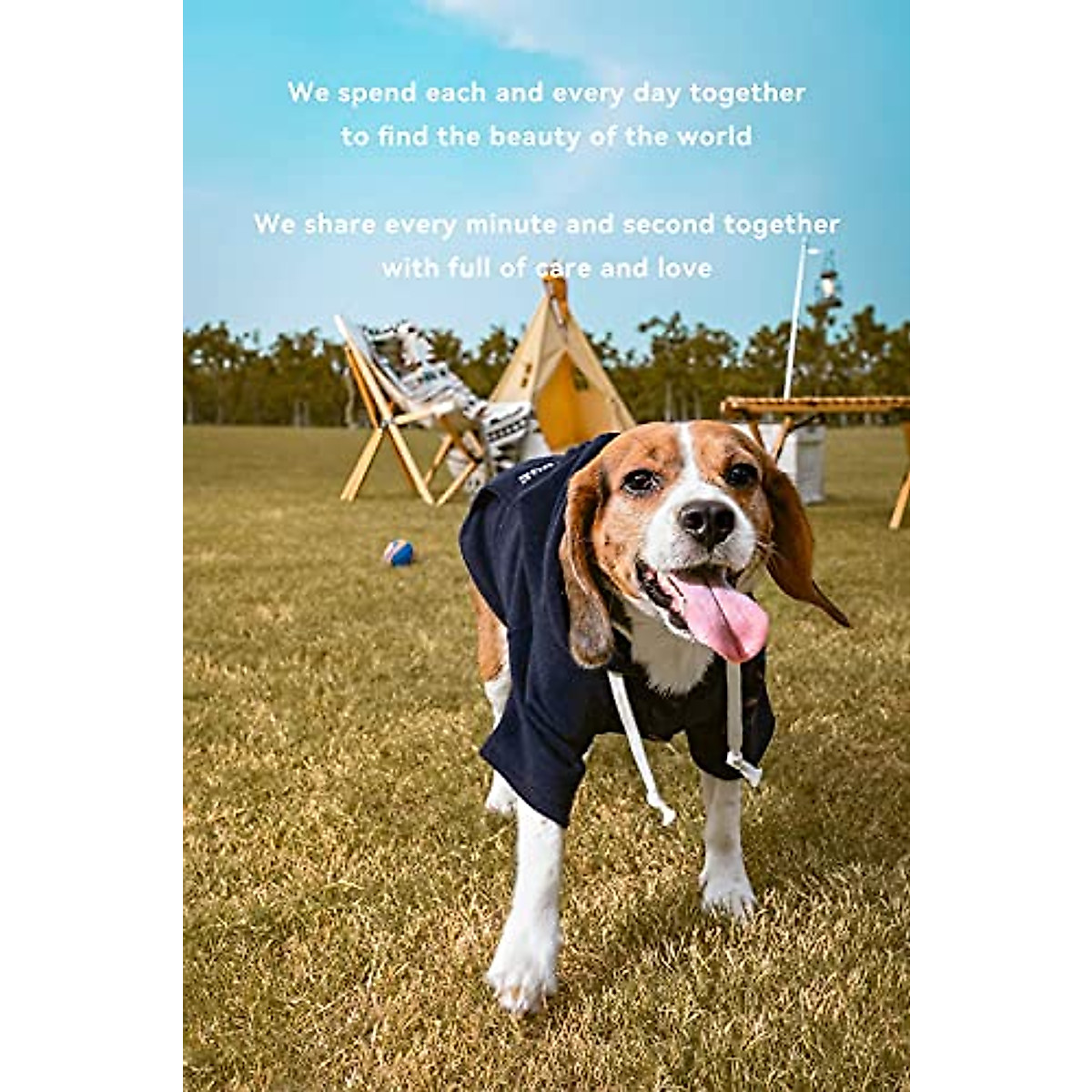 Petridge Dog Hoodie Sweatshirt Warm and Soft for Small Medium Large Dogs (X-Large Navy)