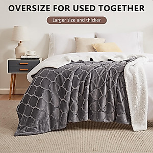 L'AGRATY Sherpa Throw Blanket - Plush Blanket for Bed - 50"x60" Soft Fleece Blanket - Comfy Fluffy Blanket for Chair and Couch - Warm Fuzzy Blanket for Gift(Light Grey)