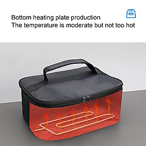 Portable Oven,12 V Car Food Warmer Portable Mini Microwave Electric Food Heated Picnic Box Lunch Box 11.0x7.9x4.7in for Business Trip Travel,Camping