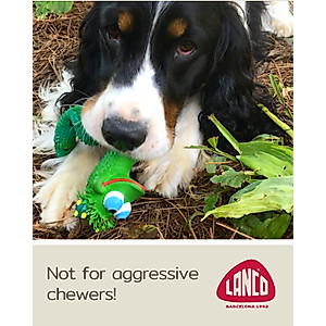 Smiley Snake Sensory Squeaky Rubber Dog Toy for Small & Medium Dogs (Green) Natural Rubber (Latex) Lead Chemical-Free Soft Unstuffed