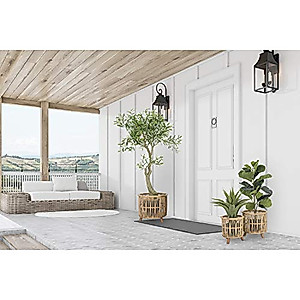 Creative Co-Op 11.25", 13.5" & 15.75" Woven Bamboo Footed (Set of 3 Sizes) Baskets, Beige