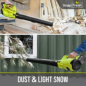SnapFresh Leaf Blower Cordless - 350 CFM Cordless Leaf Blower with 4.0Ah Battery & Fast Charger, 20V Electric Battery Powered Leaf Blower for Yard Porch Garden