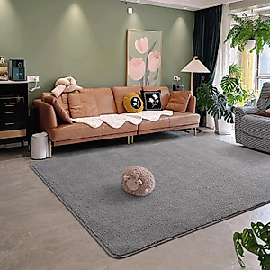 DweIke Modern Area Rugs for Bedroom Living Room, 4x6 ft Grey Thickened Memory-Foam Indoor Carpets, Minimalist Style Carpet Suitable for Boys Girls and Adults with Super Soft Touch, Washable, Grey